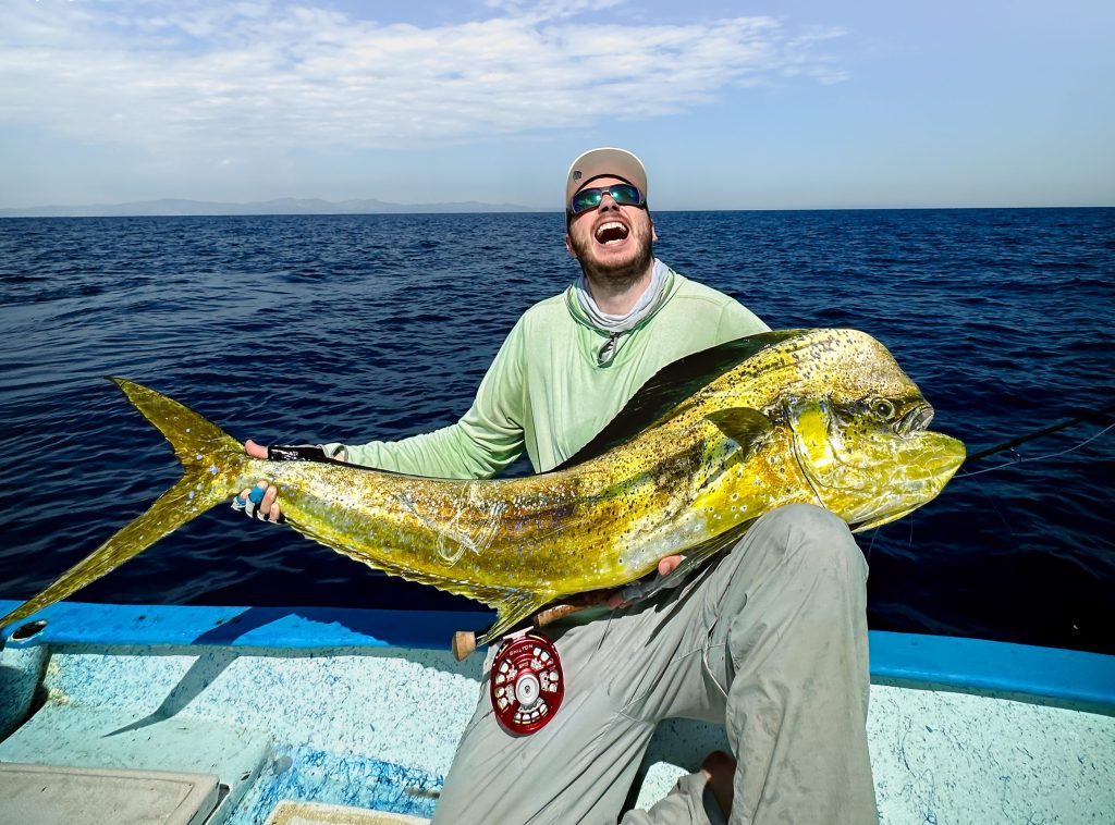 Mahi Mahi | Species Guide | Bucket List Fishing Trips