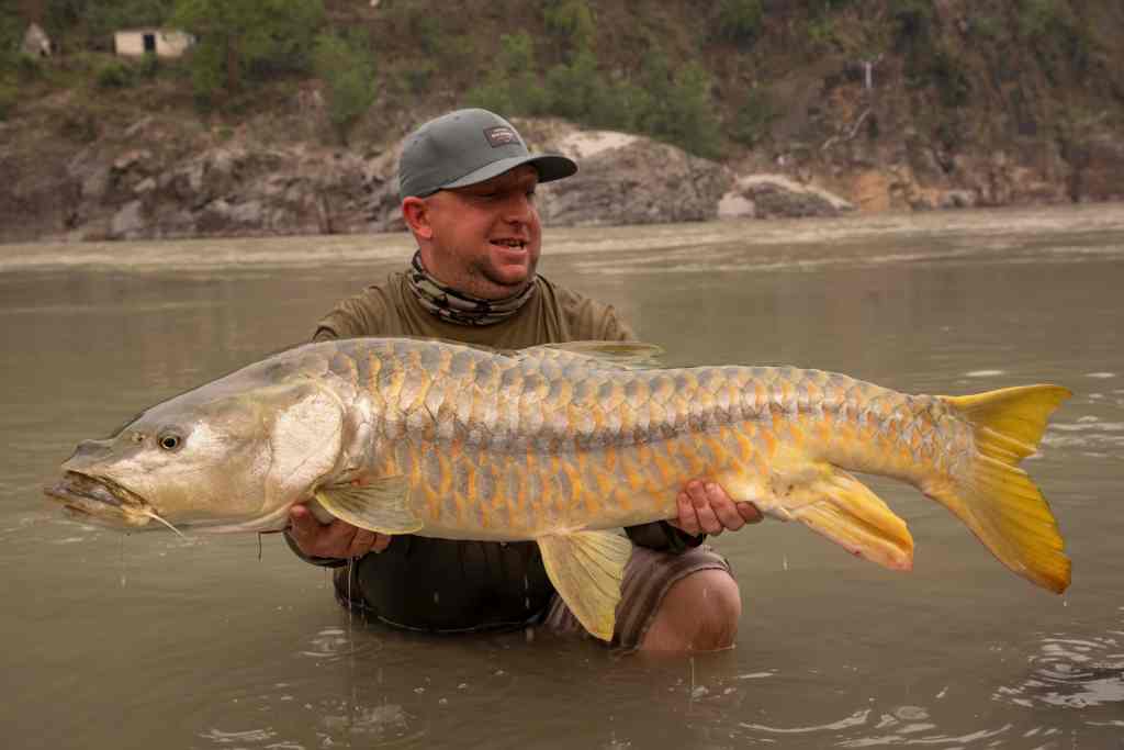 Golden Mahseer | Bucket List Fish Species