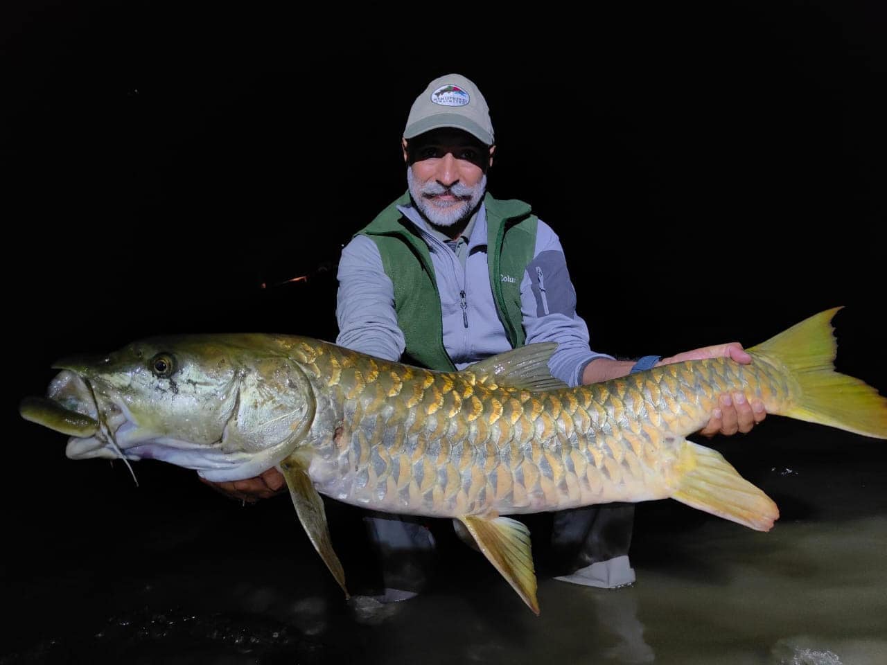 Golden Mahseer | Bucket List Fish Species