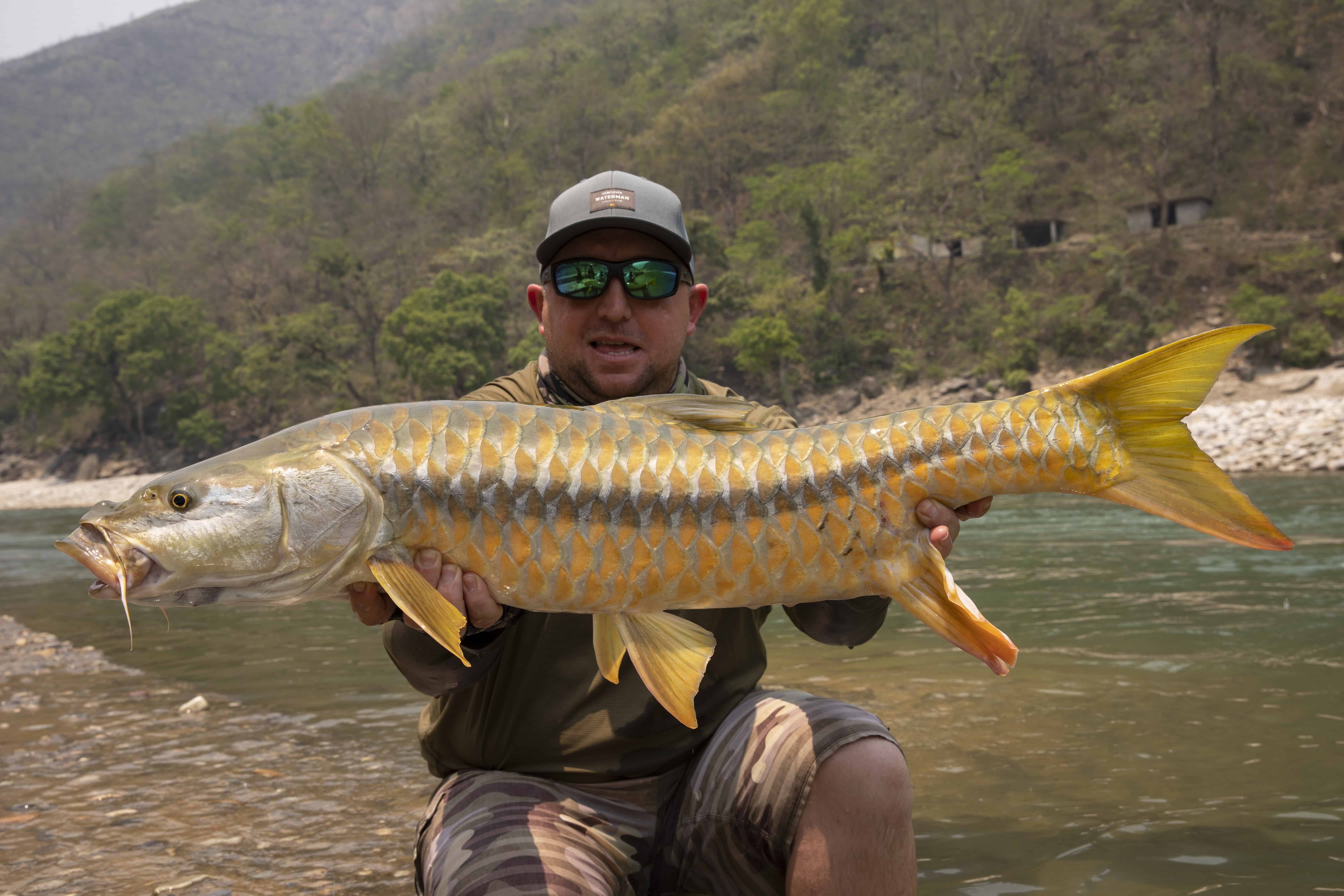 Golden Mahseer | Bucket List Fish Species