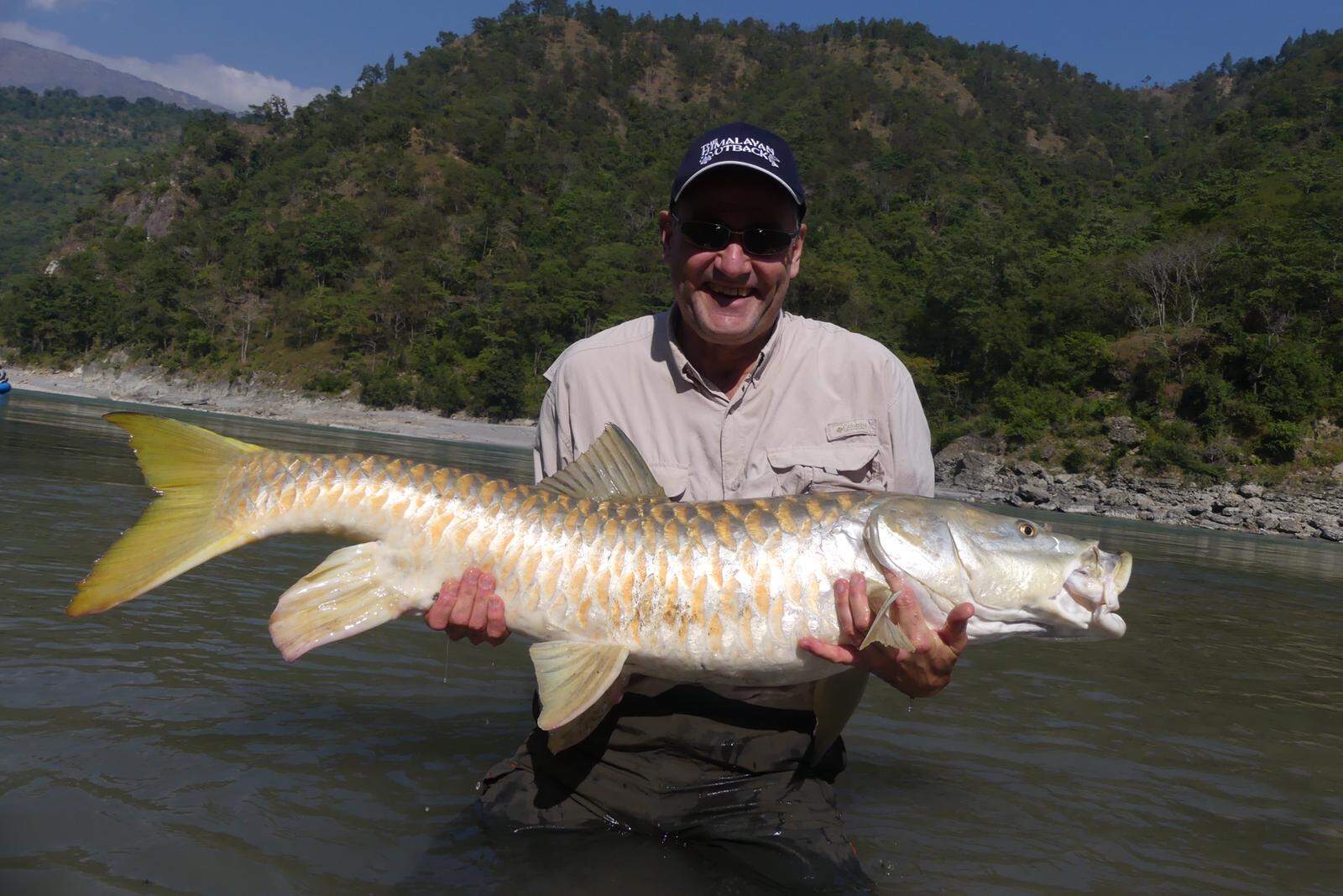 Golden Mahseer | Bucket List Fish Species