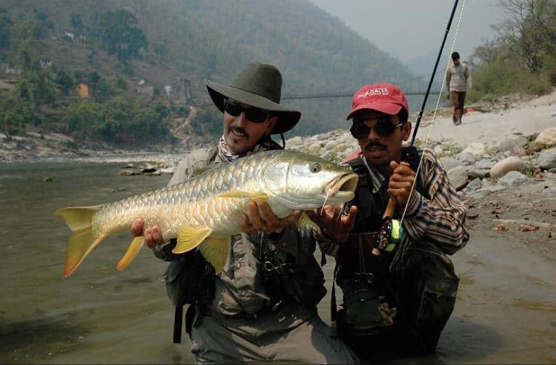 Golden Mahseer | Bucket List Fish Species