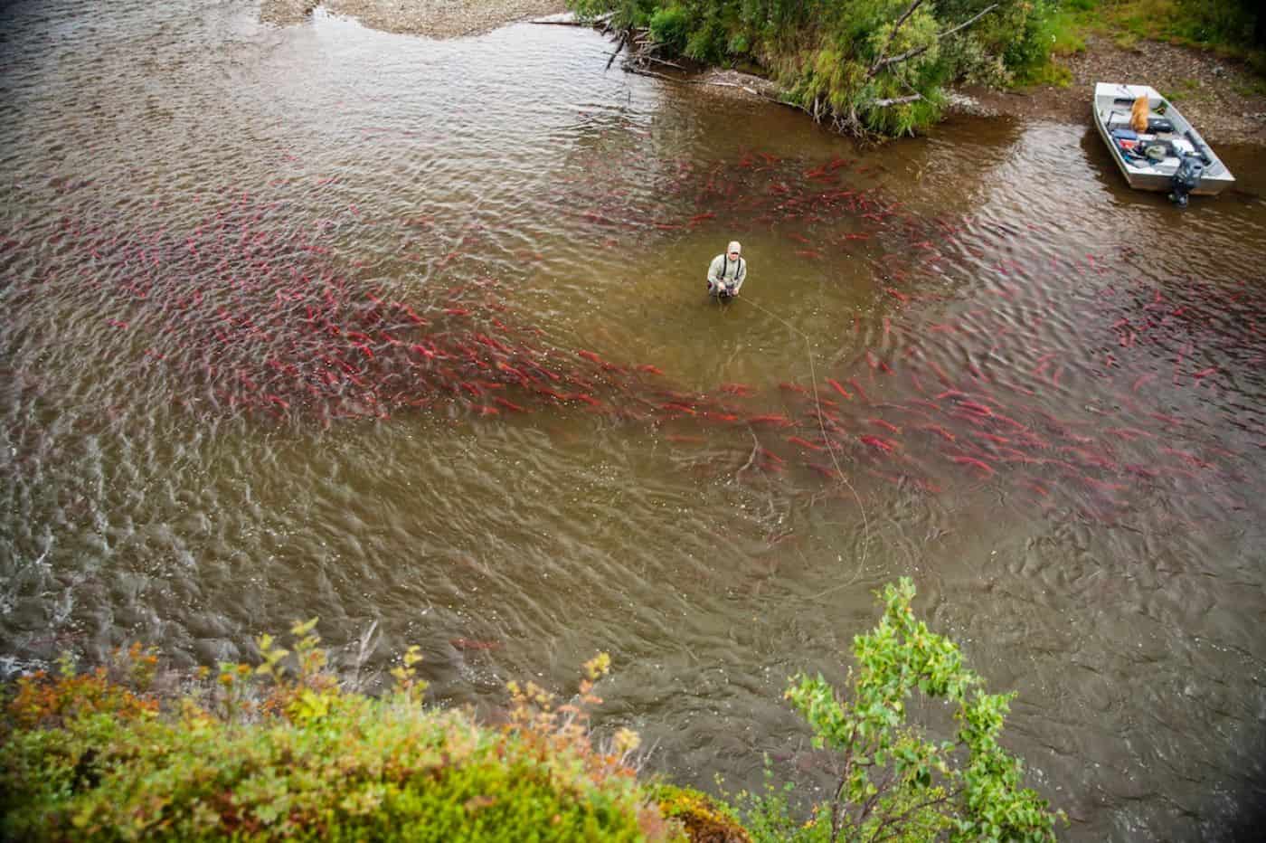Bucket List Fishing Trips | Extraordinary Fishing Adventures
