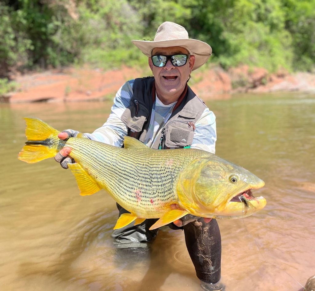Golden Dorado | Bucket List Fish Species