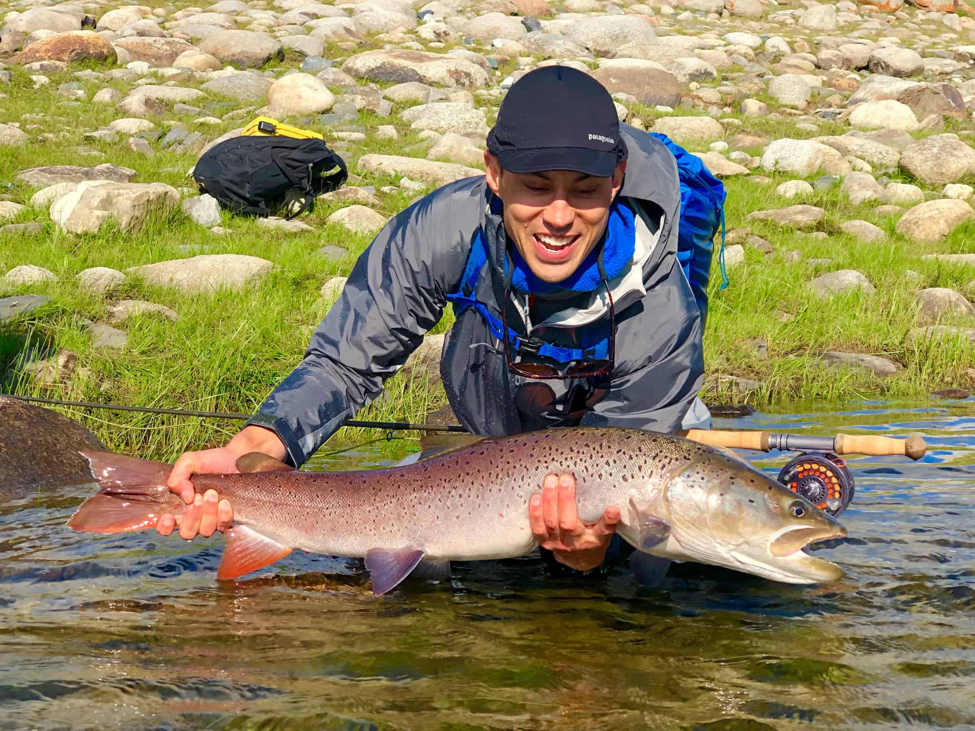 Taimen | Bucket List Fish Species