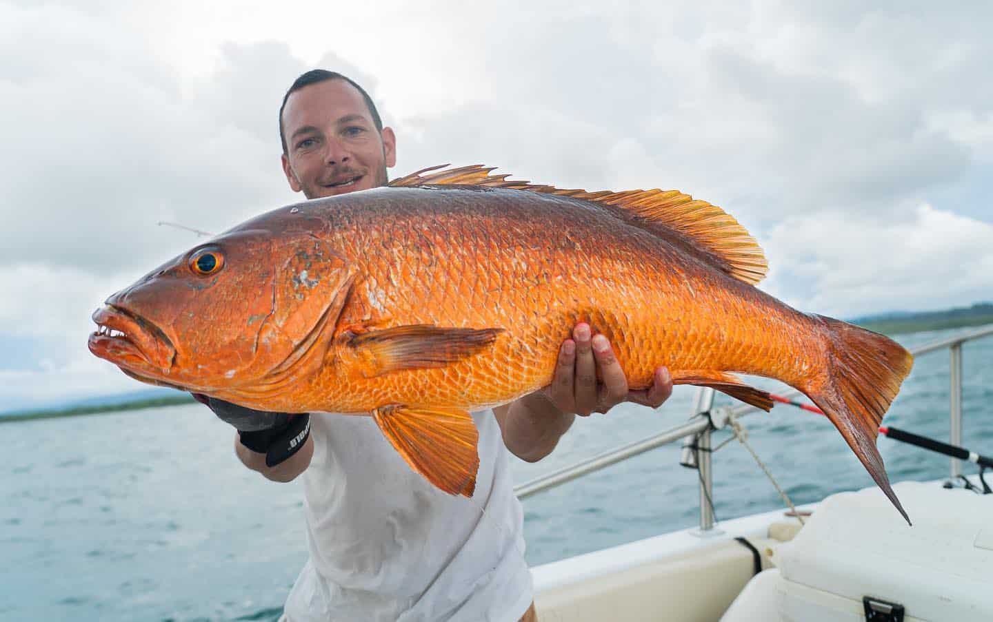 Cubera Snapper | Bucket List Fish Species