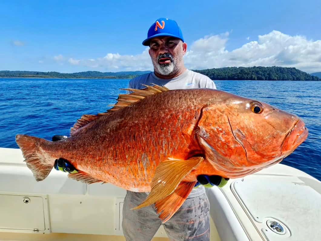 Cubera Snapper | Bucket List Fish Species