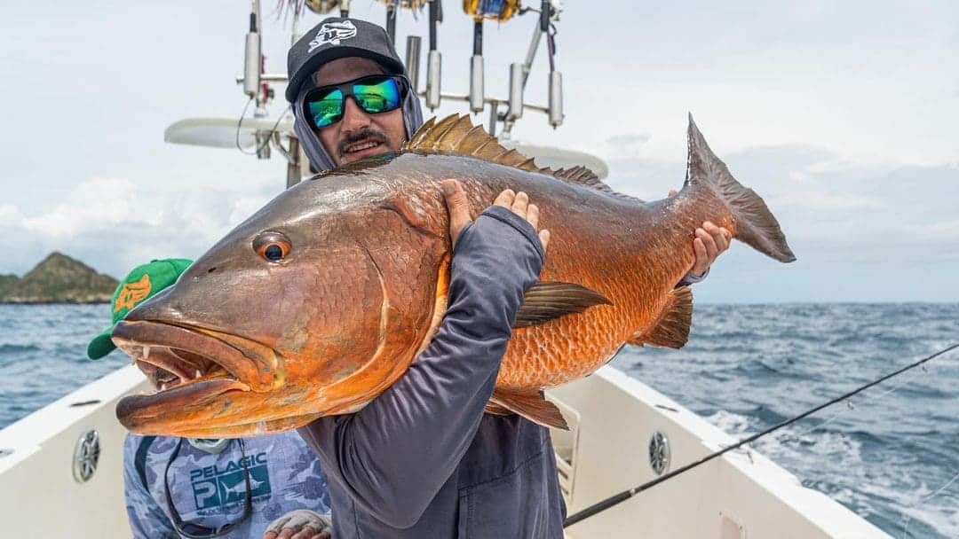 Cubera Snapper | Bucket List Fish Species