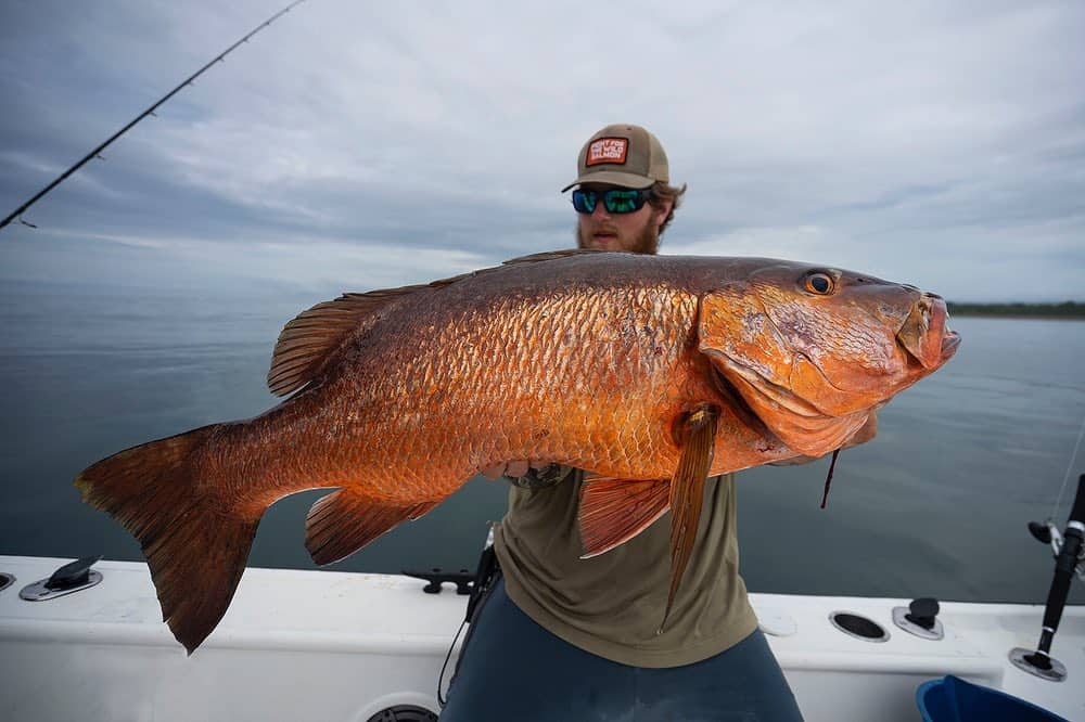 Cubera Snapper | Bucket List Fish Species