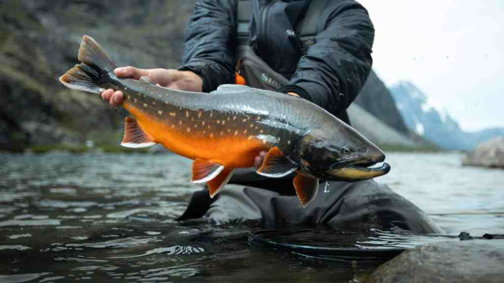 Arctic Char | Bucket List Fishing Trips